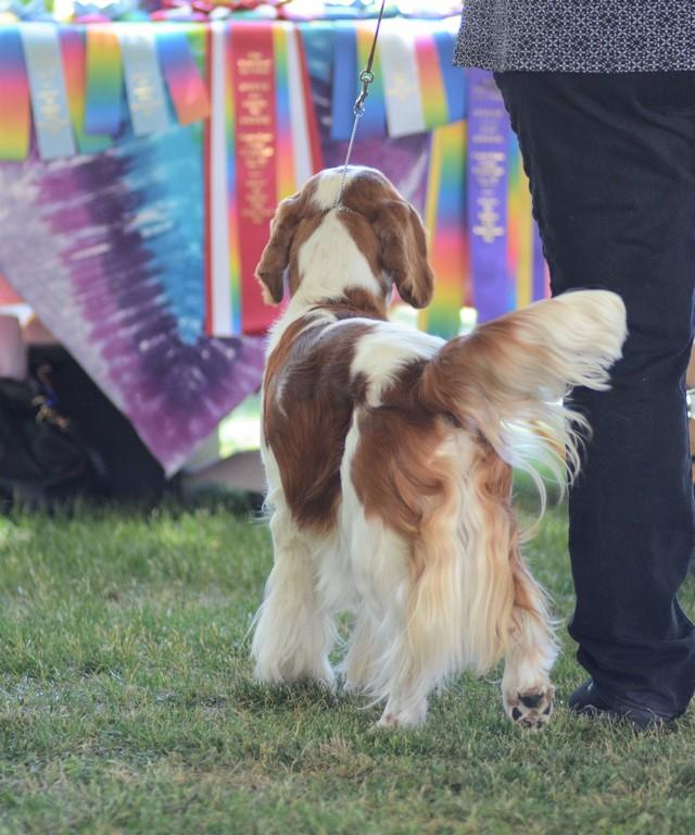 2020 Completed Events - WSSCA