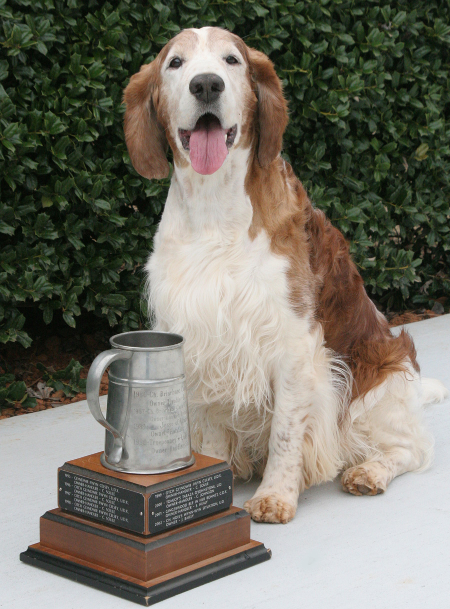 WSSCA Annual Awards - WSSCA